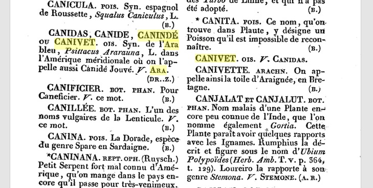 Canivet, araignée ou oiseau?
